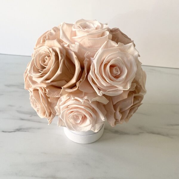 LA PETITE CHÉRIE | DEMI-BALL | 12+ Eternal Roses – MFLEURS